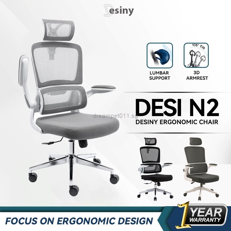 Desiny Full Mesh Ergonomic Chair 3D Office Chair With Ergonomic Lumbar ...