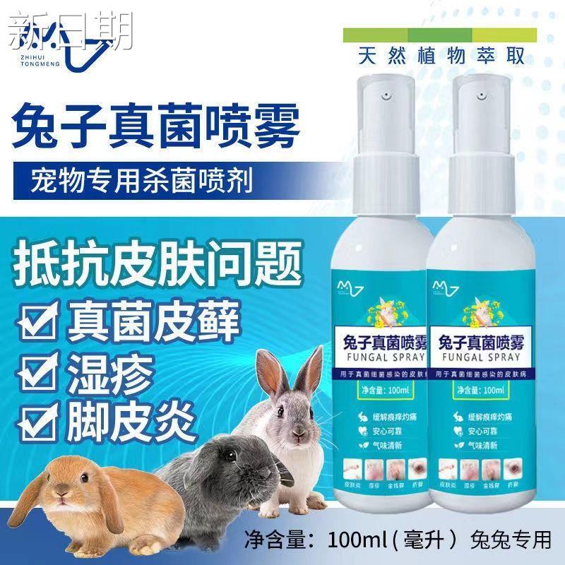 Pet Rabbit Fungus Infection Spray Eliminates Clean Rabbit Skin Disease ...