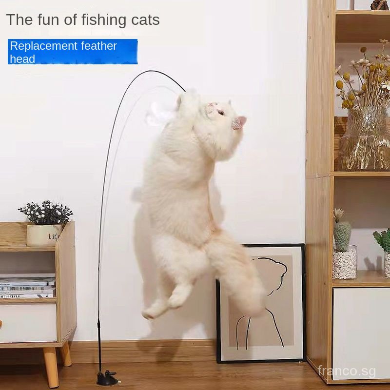 [SG Seller] Cat Sucker Cat Teaser Self-Hi Feather Bite-Resistant Steel ...
