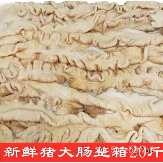 Fresh Pork Intestine Intestine Clean Disposable Fresh Large Intestine ...