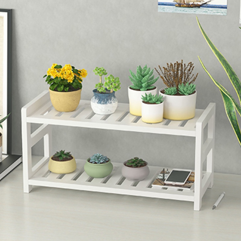 Mini cactus succulent plant tabletop rack office floationg window ...