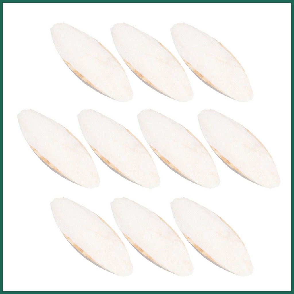 Parrot Cuttlebone Toy 10pcs Cuttlebones for Parrots Bird Cuttlebone for ...