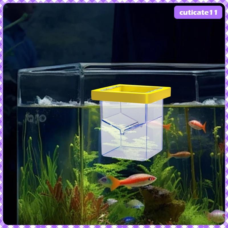 [Cuticate1] Aquarium Breeder Box Acrylic Separation Square Tank ...