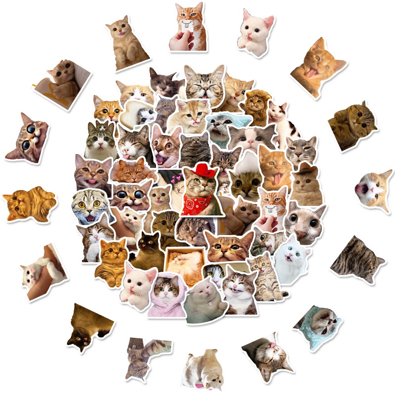50pcs Cute Cat Stickers, Funny Cat Meme Stickers Waterproof Kawaii ...