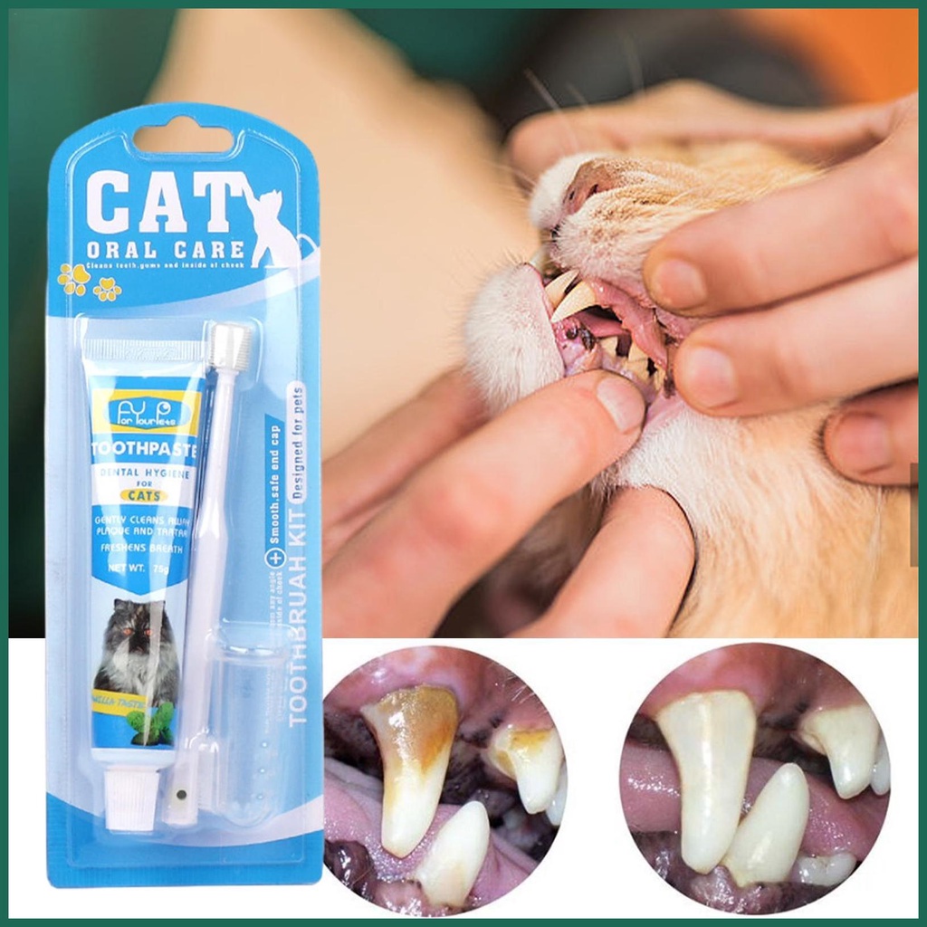 Cat Toothpaste and Brush Kitten Toothpaste Vanilla Flavor Toothpaste ...