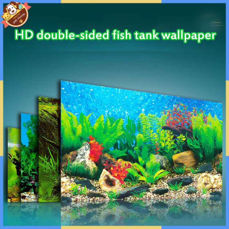 3D Stereo Fish Tank Sticker Fish Tank Background Wallpaper HD Picture ...
