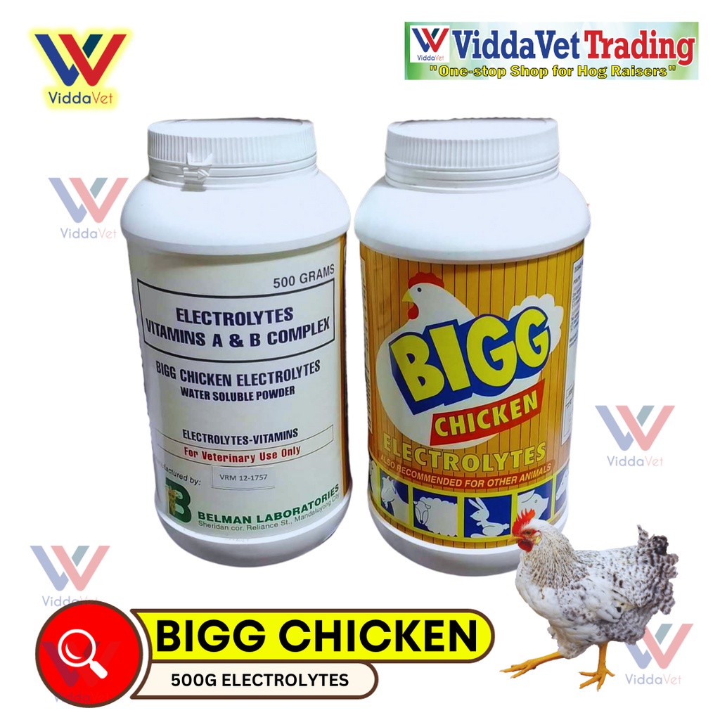 500gram Bigg Chicken Electrolytes for chicken animals livestock Belman ...
