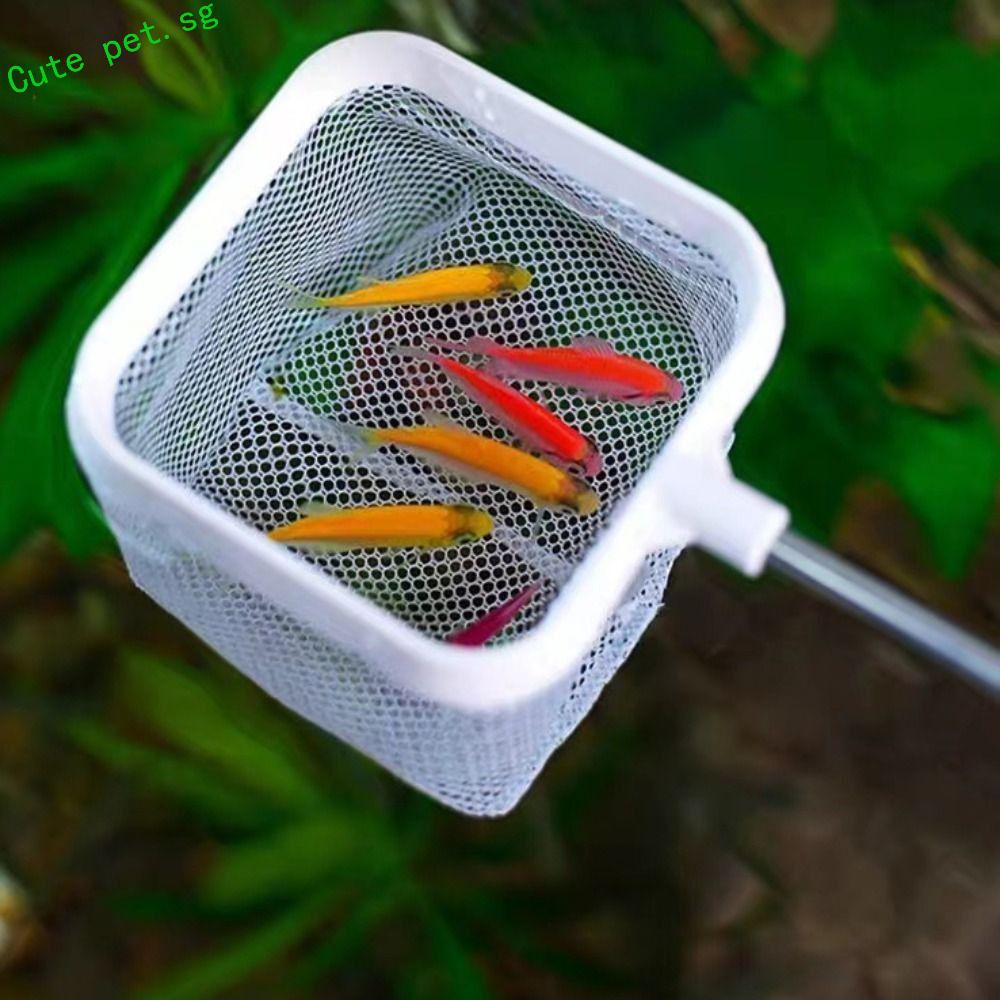 FUZOU Aquarium Square Fishing Net, Stainless Steel Retractable Fishing ...