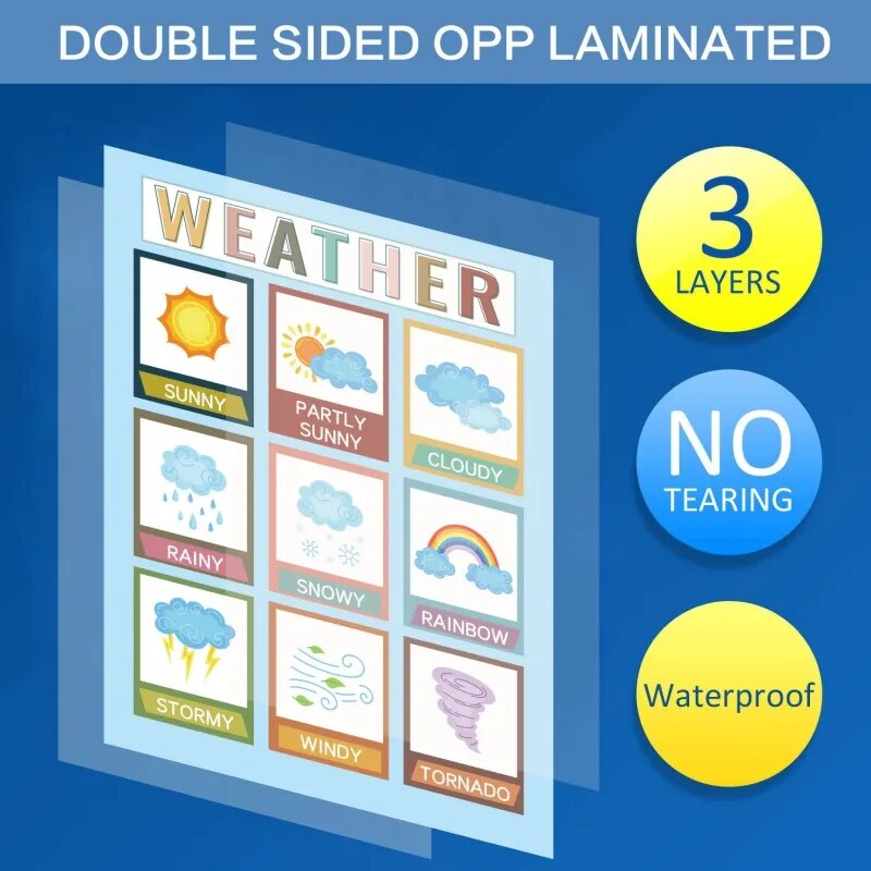 16 Themes Educational School Posters Preschool Kids English Words ...