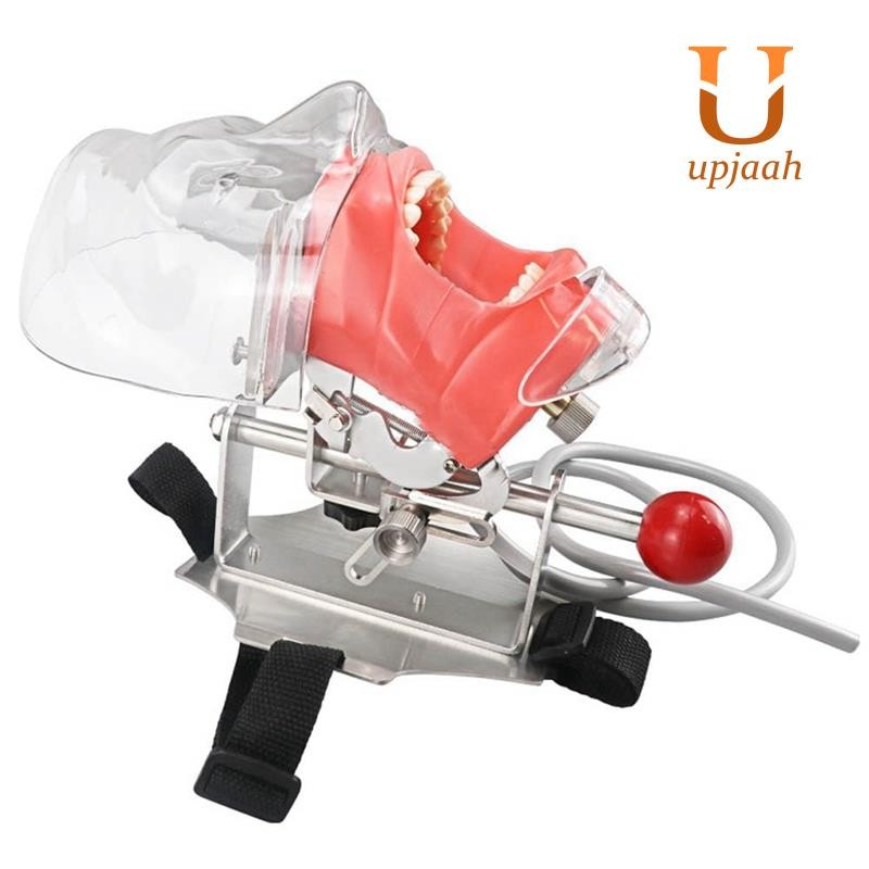 Dental Simulator Mannequin-, Dental Teaching- Model Fix on Chair with ...