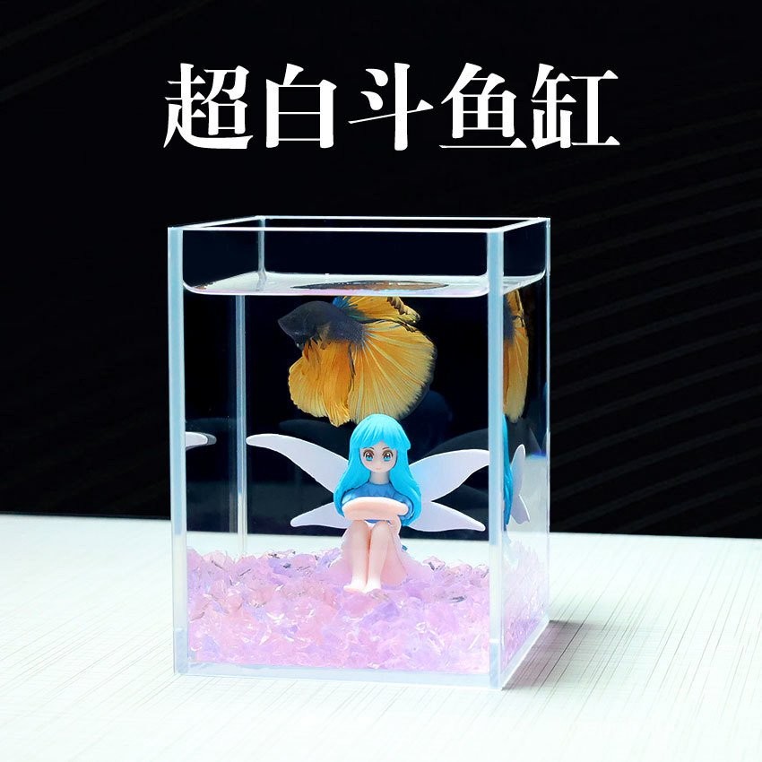 Thai Betta Fish Tank Ultra Clear Glass Tank Transparent Isolation Box ...