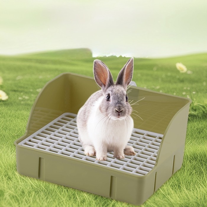 Toilet rabbit drawer potty train rabbit toilet guinea pig guinea pig ...