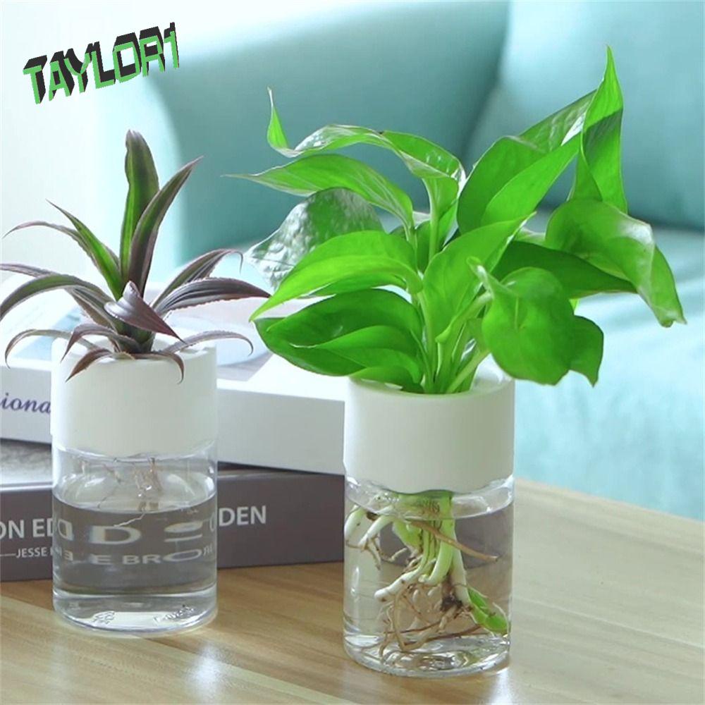 TAYLOR1 Hydroponic Flower Pot, White Circular Hydroponic Plant Pots ...