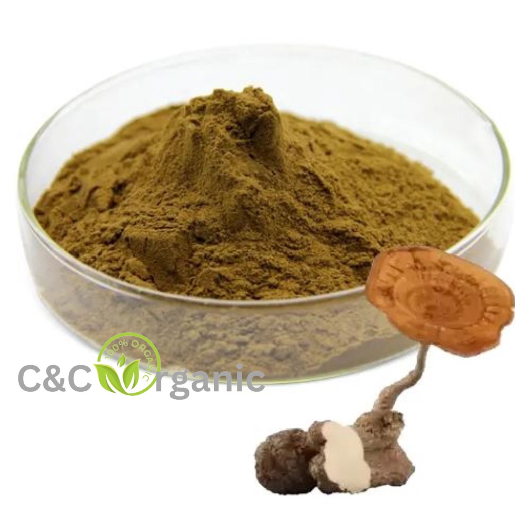 Tiger Milk Mushroom Extract Powder Organic 10g - 100g 虎乳芝粉末 / Cendawan ...