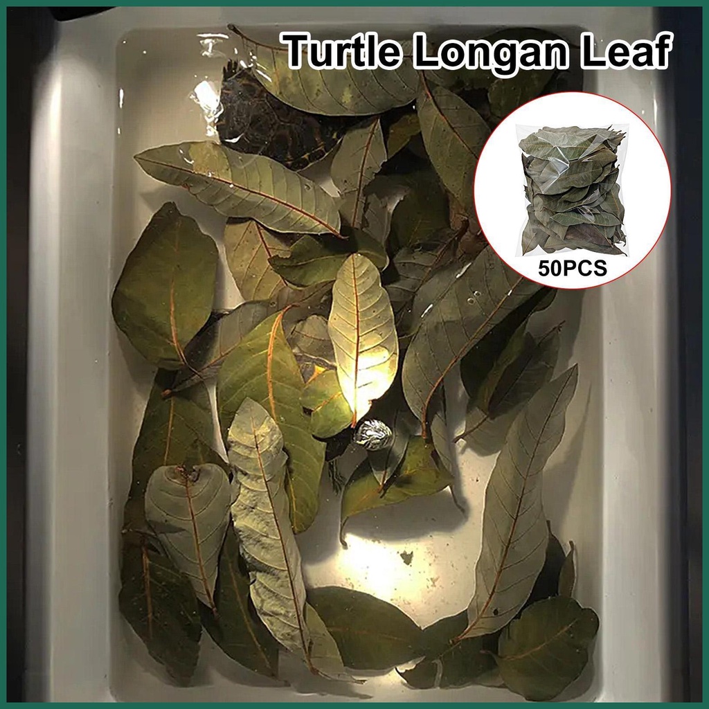 Turtle Longan Leaf Betta Fish Tank Accessories and Toys Create ...