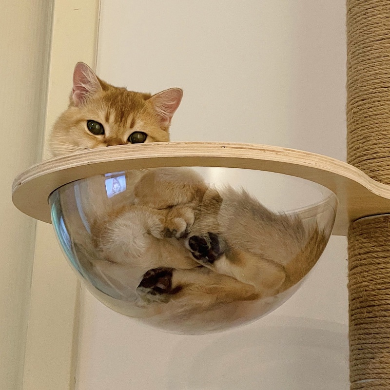 Cat Tree Accessories Space Capsule Acrylic Dome Transparent Large Bowl ...