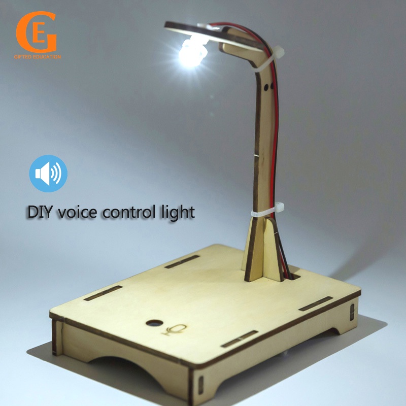 GIFTED EDUCATION DIY Voice Control Light Toy School Science Experiment ...