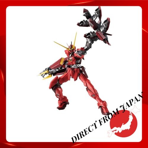 TAMASHII NATIONS ROBOT Spirits SIDE MS Testament Gundam | Shopee Singapore