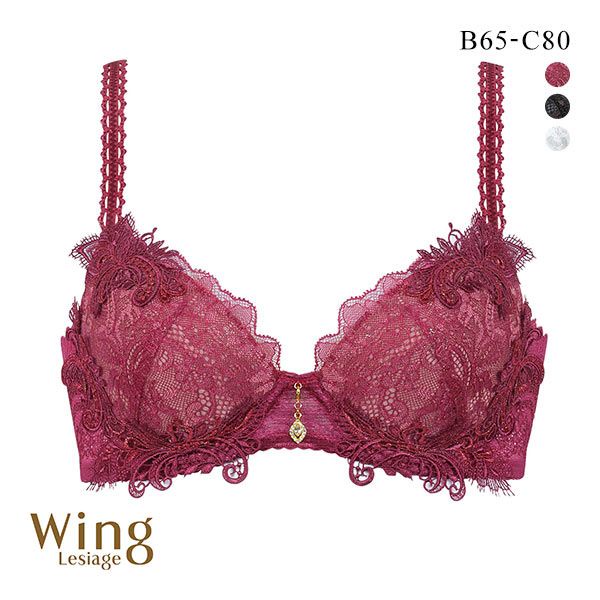 Wacoal Wing Lesiage PB2880 gentle fit bra (Sizes B-C)(40PB2880BC)(Direct from Japan)1 | Shopee ...
