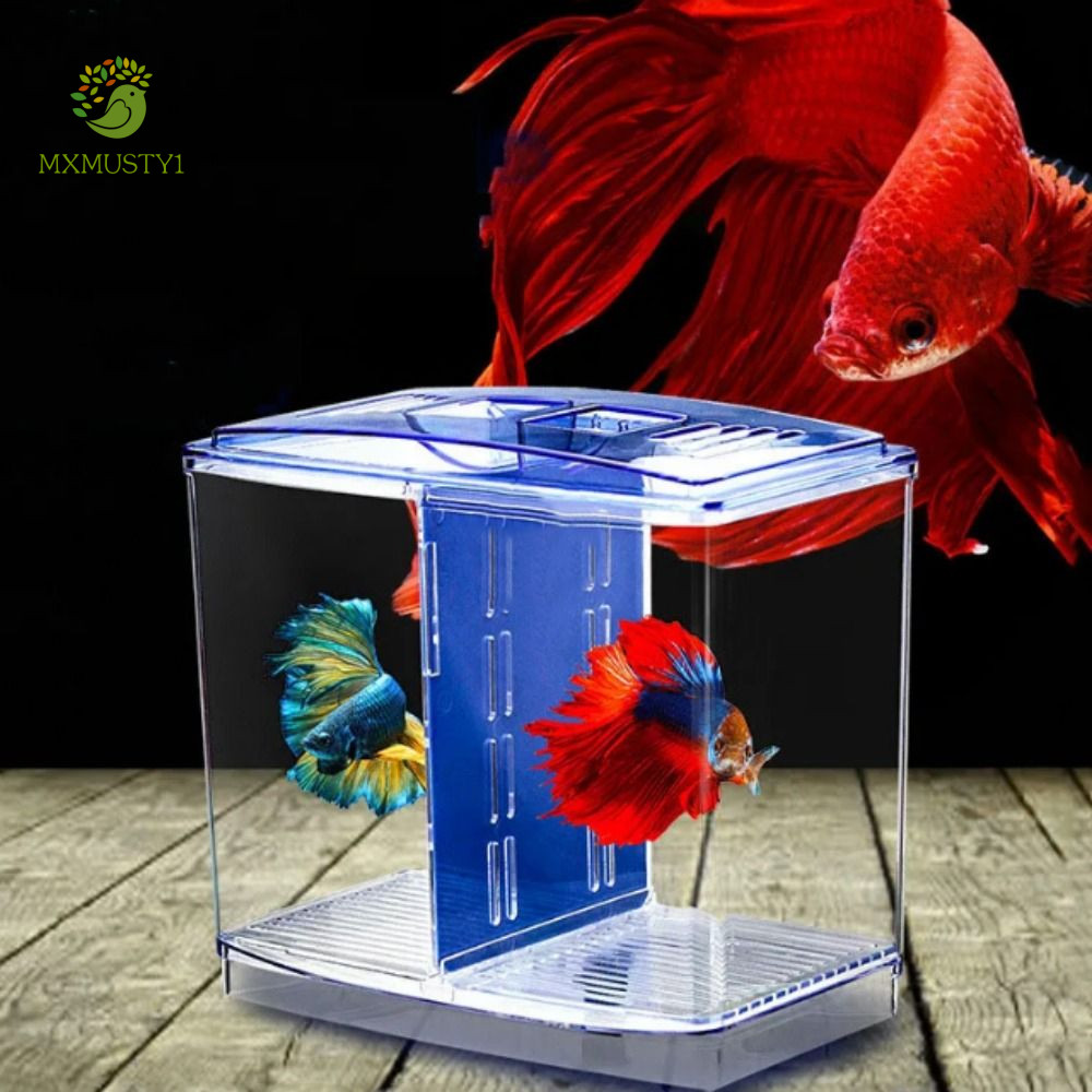 MXMUSTY1 Betta Fish Tank, Transparent with Water Grass Double-grid ...