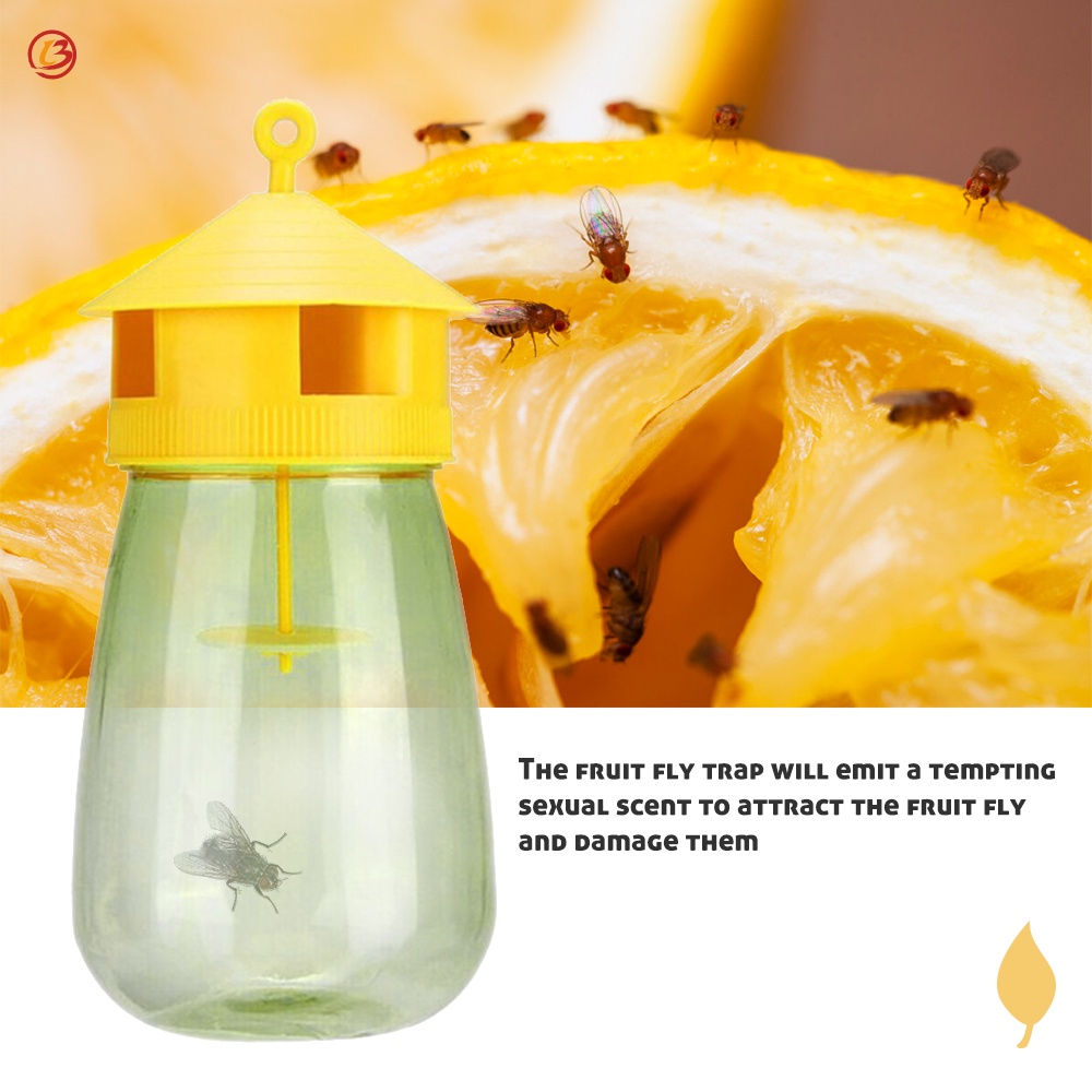 vanilla Effective No-Poison Wasp Trap for Killing Fruit Flies and ...