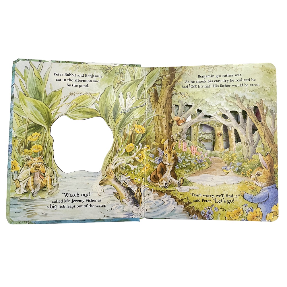 Usborne Peter Rabbit: The Lost Hat A Peep Inside Tale Picture Books for ...