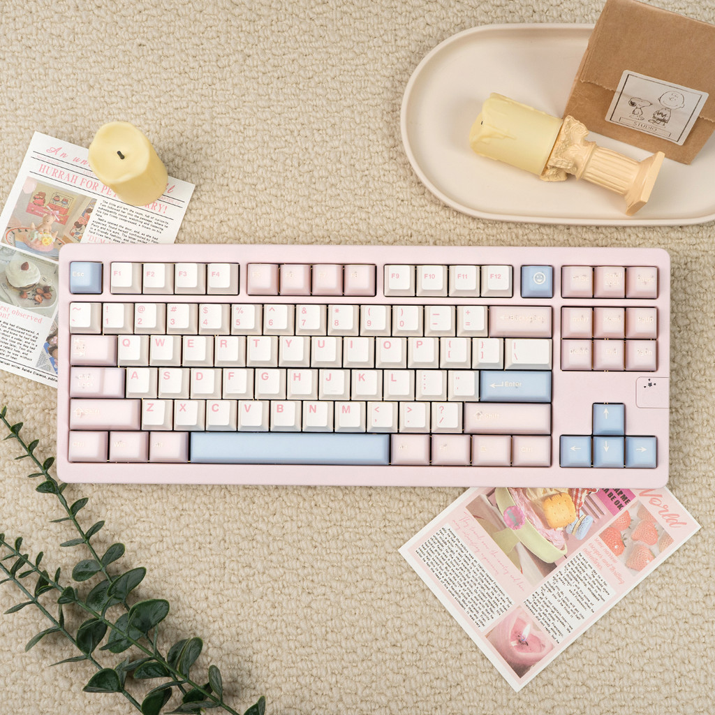 Yongqiu Translucnet keycaps Blue Pink Double Shot ABS+PBT Cherry ...