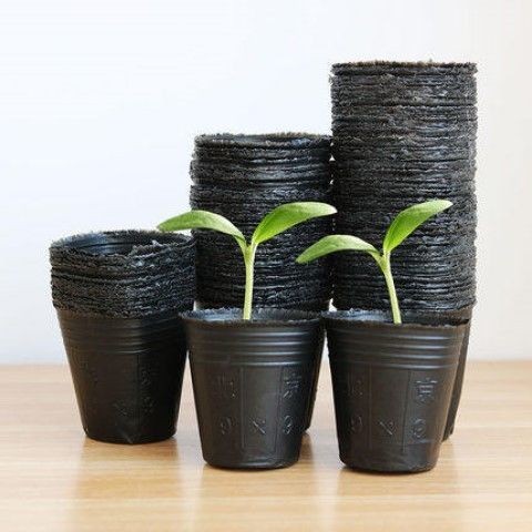 Seedling Cup Nutrient Cup Plastic Disposable Flower Pot Seedling Pot ...