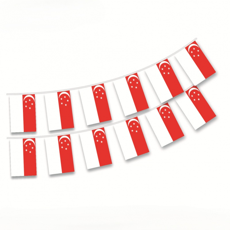 [Ready Stock] (5 m/20 pieces)Singapore Flag Bunting NDP 2025 ...