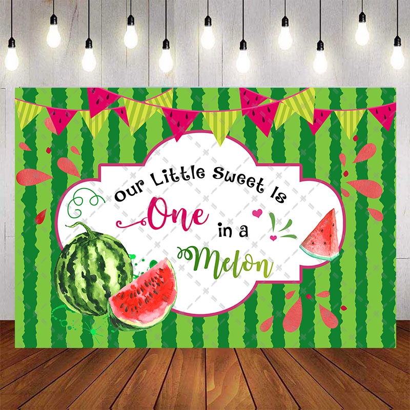 Watermelon Birthday Backdrop For Photography Baby Shower Girls Kids ...
