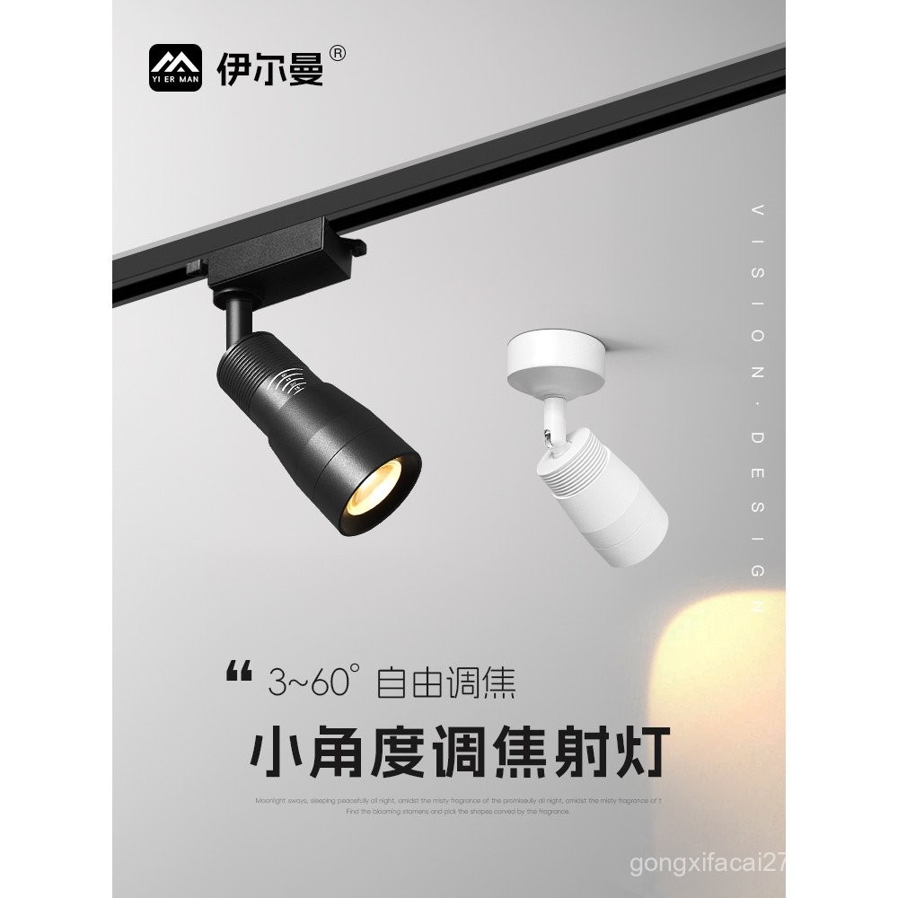 Small Angle Spotlight led Track Light Rail for Dining Hot Pot ...