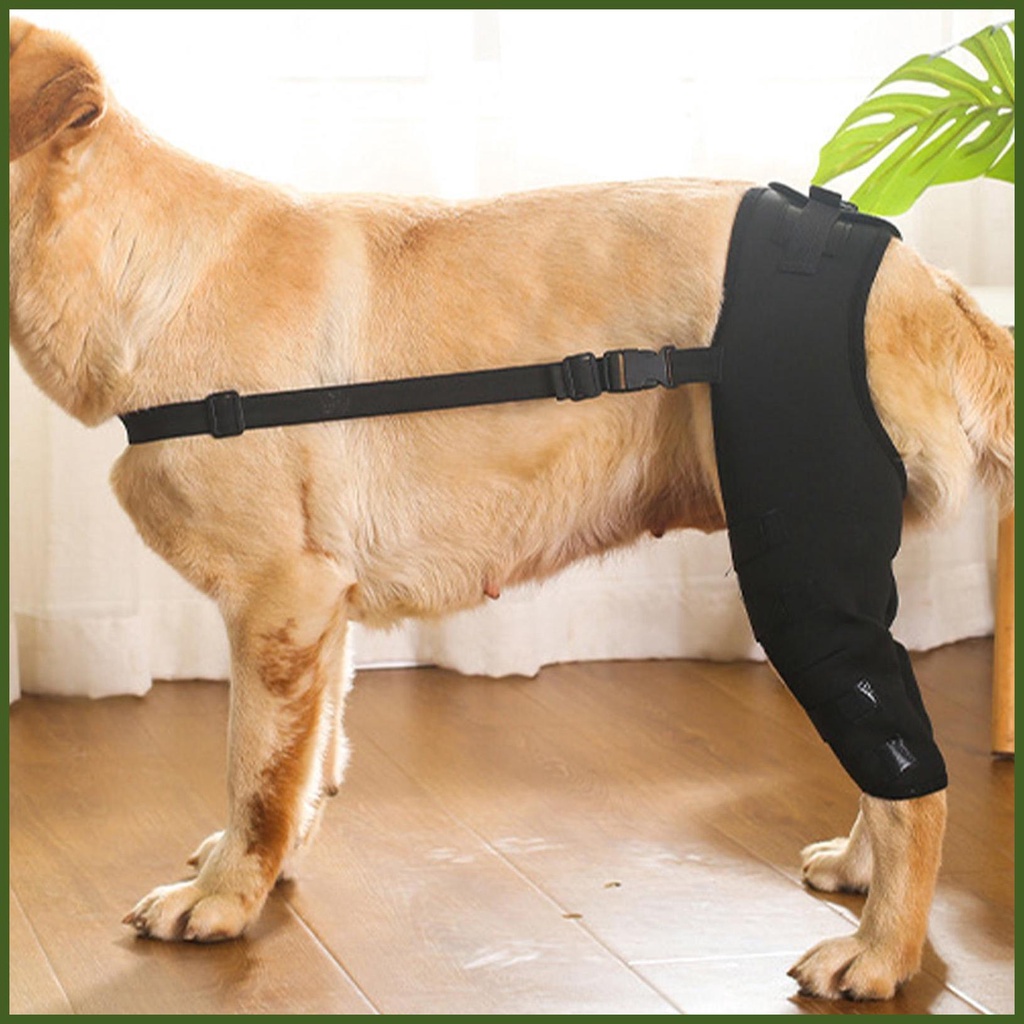 Dog Leg Support Brace Rear Leg Knee Brace Hip Joint Support Dog Hip ...