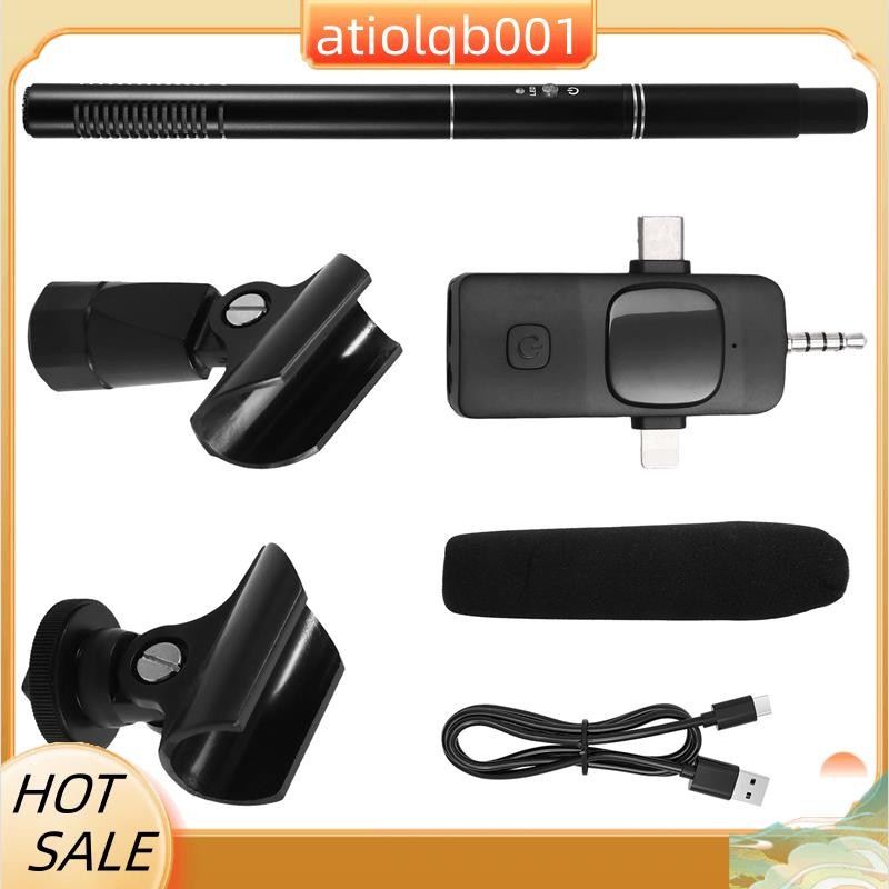 Wireless Interview Microphone Condenser Microphone Handheld Studio ...