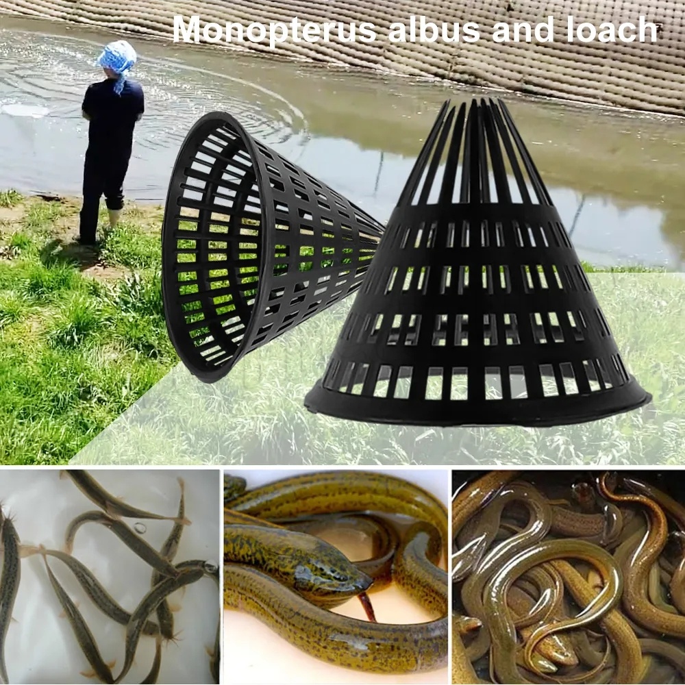 Monopterus Albus Loach Crab Trap Entrance / Durable Plastic Container ...