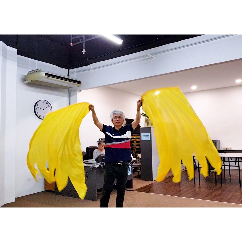 Angel Wings (Yellow) Silk Praise and Worship Flag WF43SX70 | Shopee ...