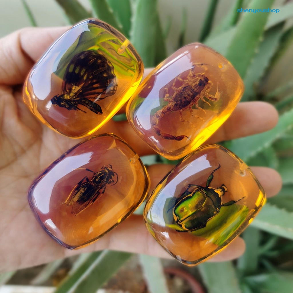 SYS_Pendant Toy Safe Interesting Square Rounded Corner Design Water ...