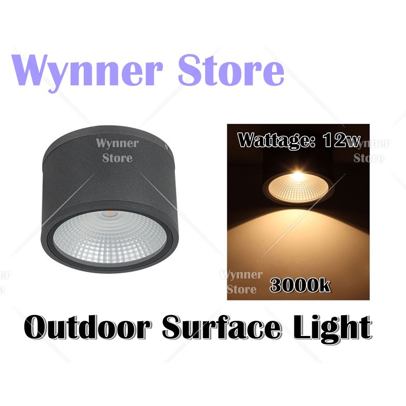 Designer Lighting Outdoor Surface Downlight Weather Proof Mounted ...