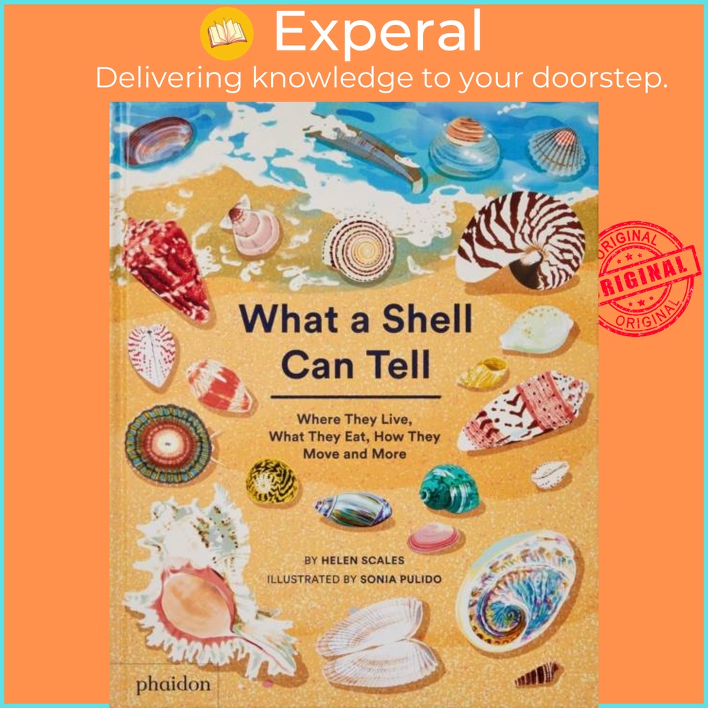 What A Shell Can Tell by Helen Scales (UK edition, hardcover) | Shopee ...