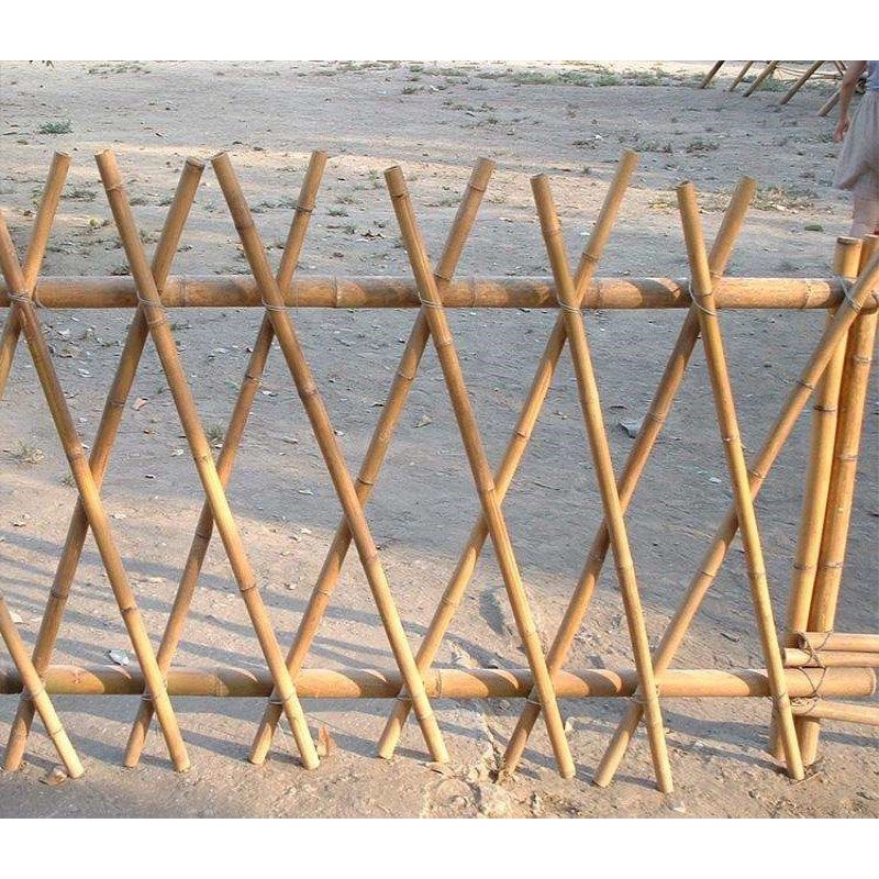 Bamboo Bamboo Stick Natural Bamboo Thickness Small Bamboo Fresh Bamboo ...