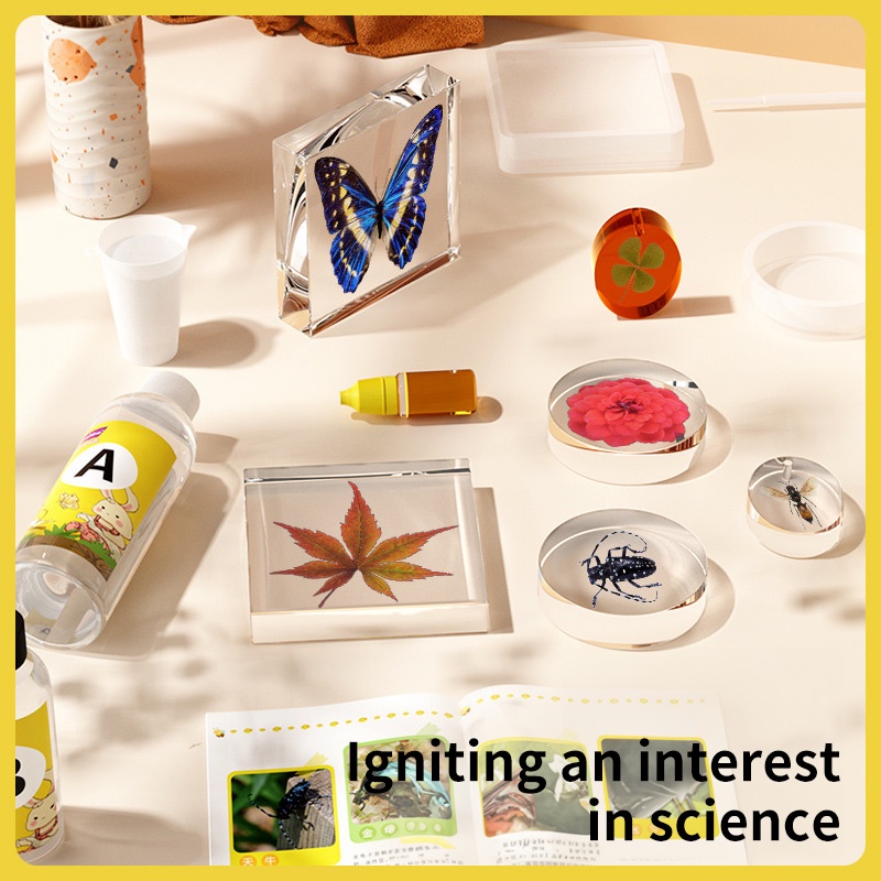 DIY Amber Specimen Making Kit Insects Flowers Leaves Butterfly Bug ...