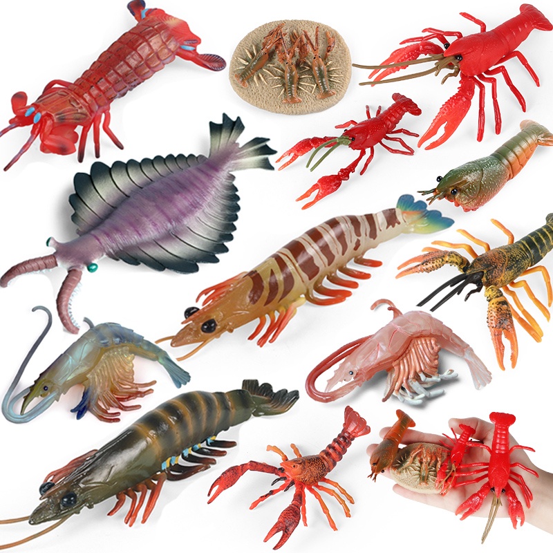 Ocean Animals Figurines Toy Crayfish Shrimp Growth Cycle Sea Life Model ...