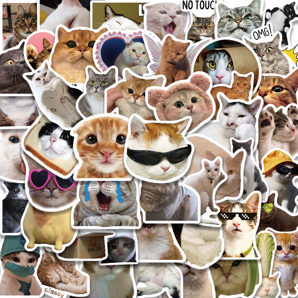 50pcs Funny Kitty Cats Memes Waterproof PVC Stickers | Shopee Singapore