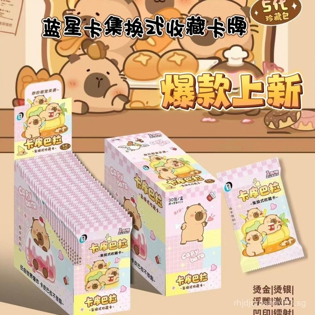 [745Positive Review]New Capybara Thick Flash Cards Dolphin Door Secrets ...