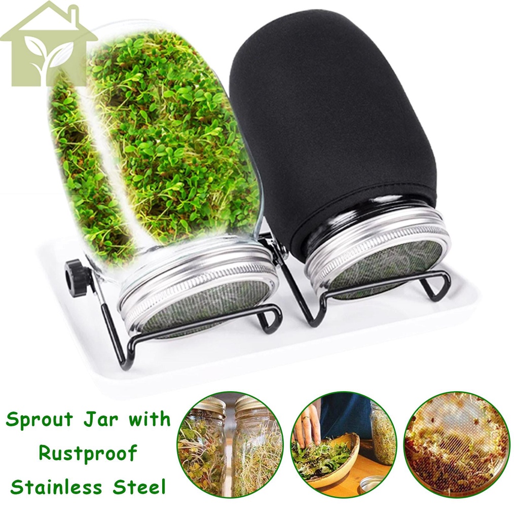 Seed Sprouting Jar Kit with 2 Wide Mouth Mason Jars Bean Sprouts ...