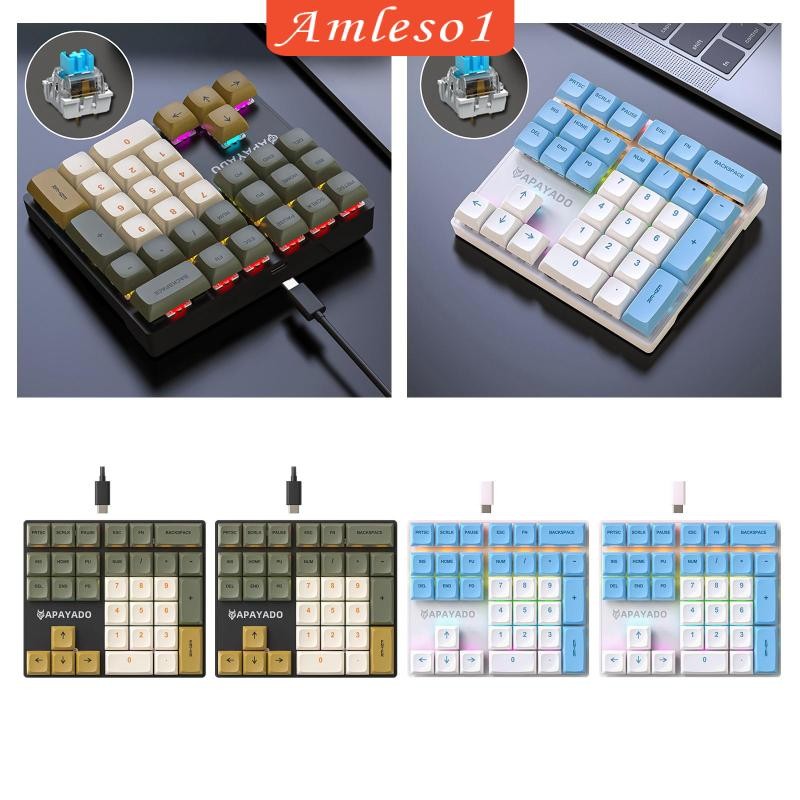 [Amleso1] 33 Mechanical Numeric Keypad PBT Keycaps Type C Number Pad ...