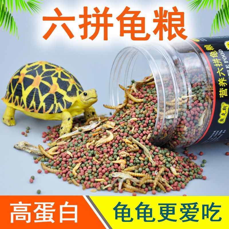 Small Turtle Feed Universal Turtle Turtle Food Dried Fish Dried Shrimp ...