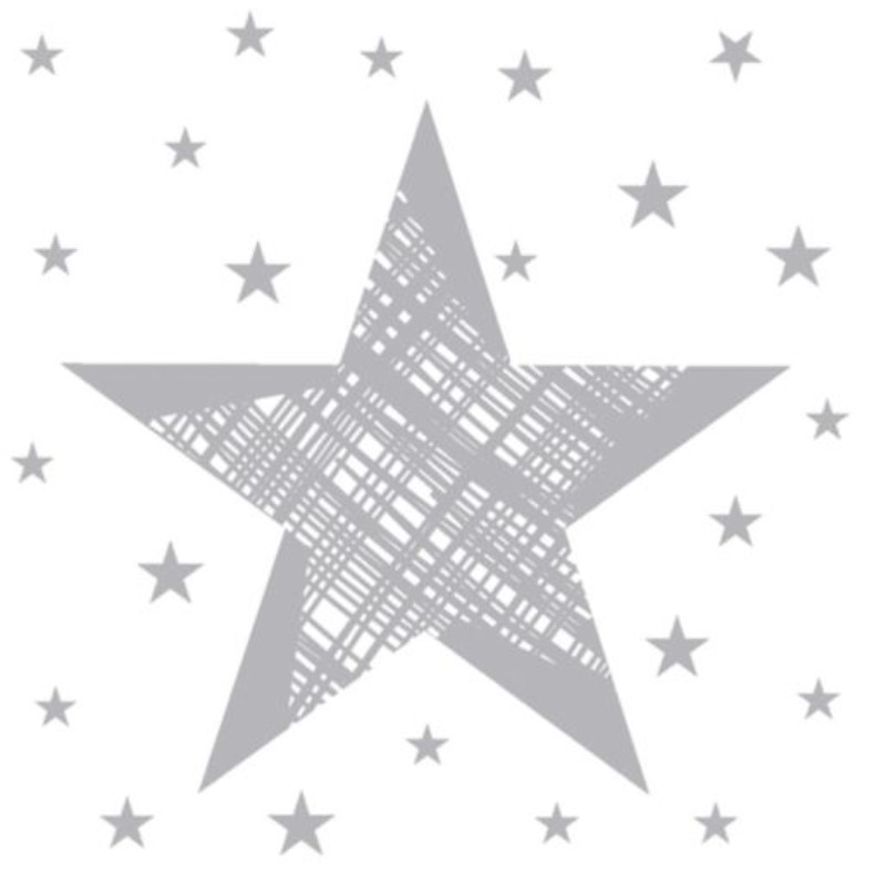 Duni Tissue Napkin 24x24Cm 178758 | Shopee Singapore