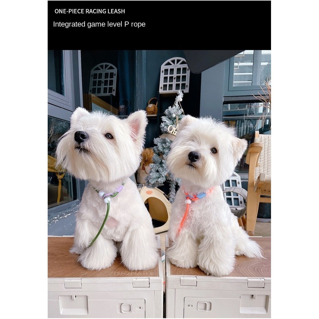 Competition-level P leash, dog leash, medium and large dog training ...