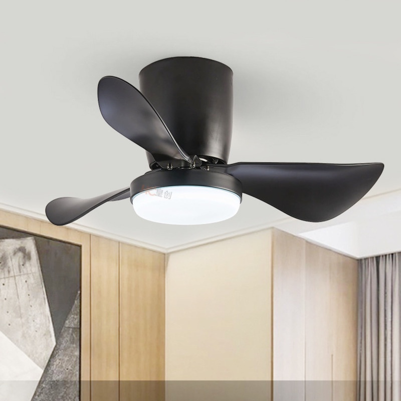 24 Inch Ceiling Fan With Light And Remote Control | Shelly Lighting