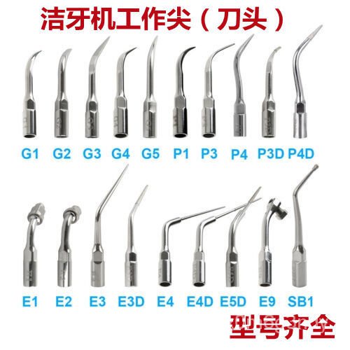Hot Sale Ultrasonic Dental Descaler Head DentalEMSSeteli Scaler Cutter ...